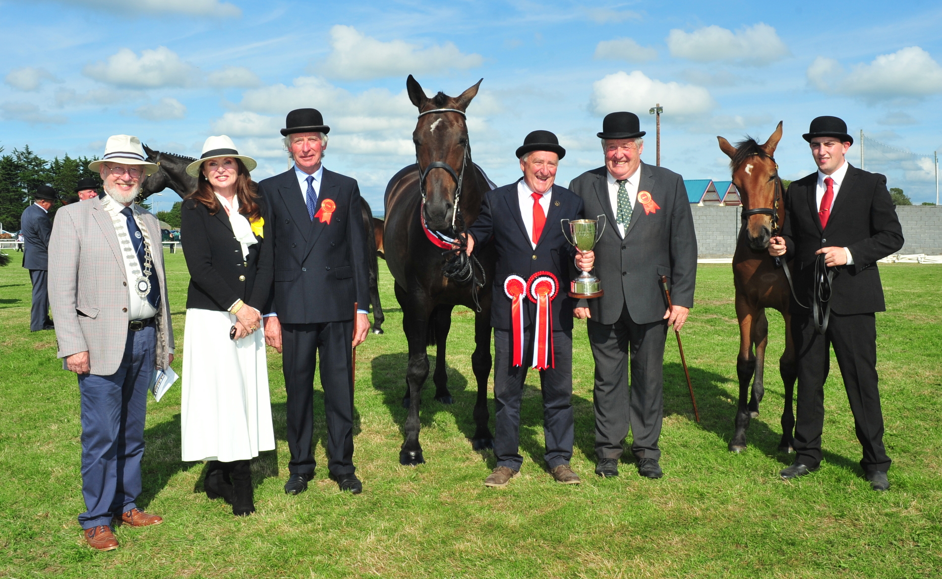 Clarecastle Show Society | Welcome to the Clarecastle Agricultural Show ...